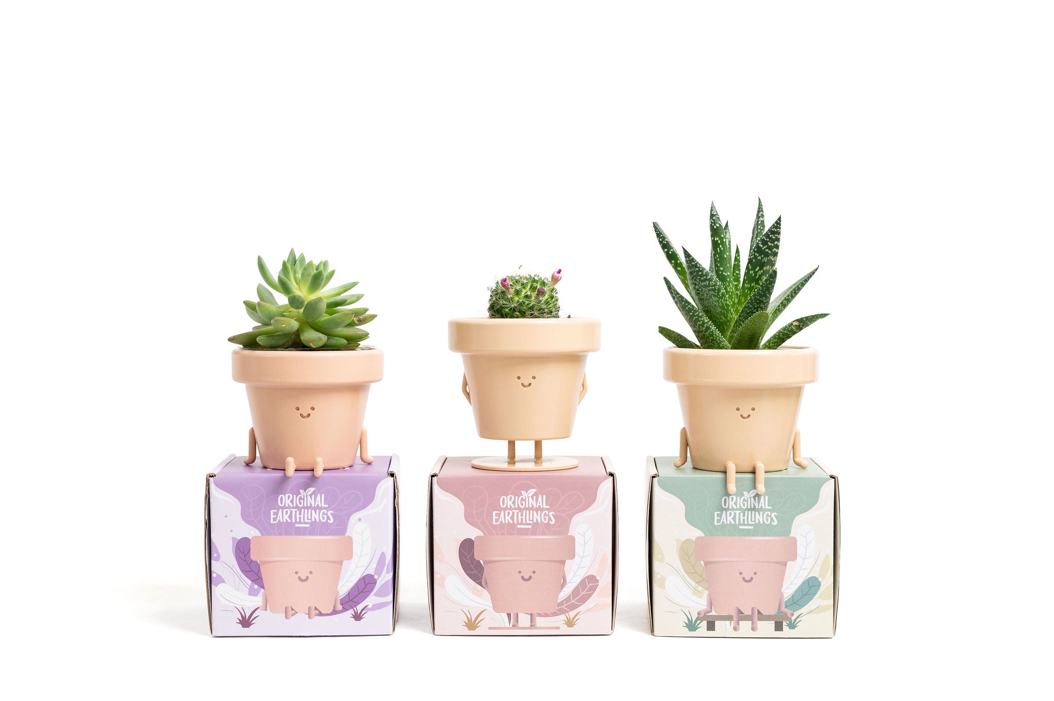 Original Earthling Planters – originalearthlings