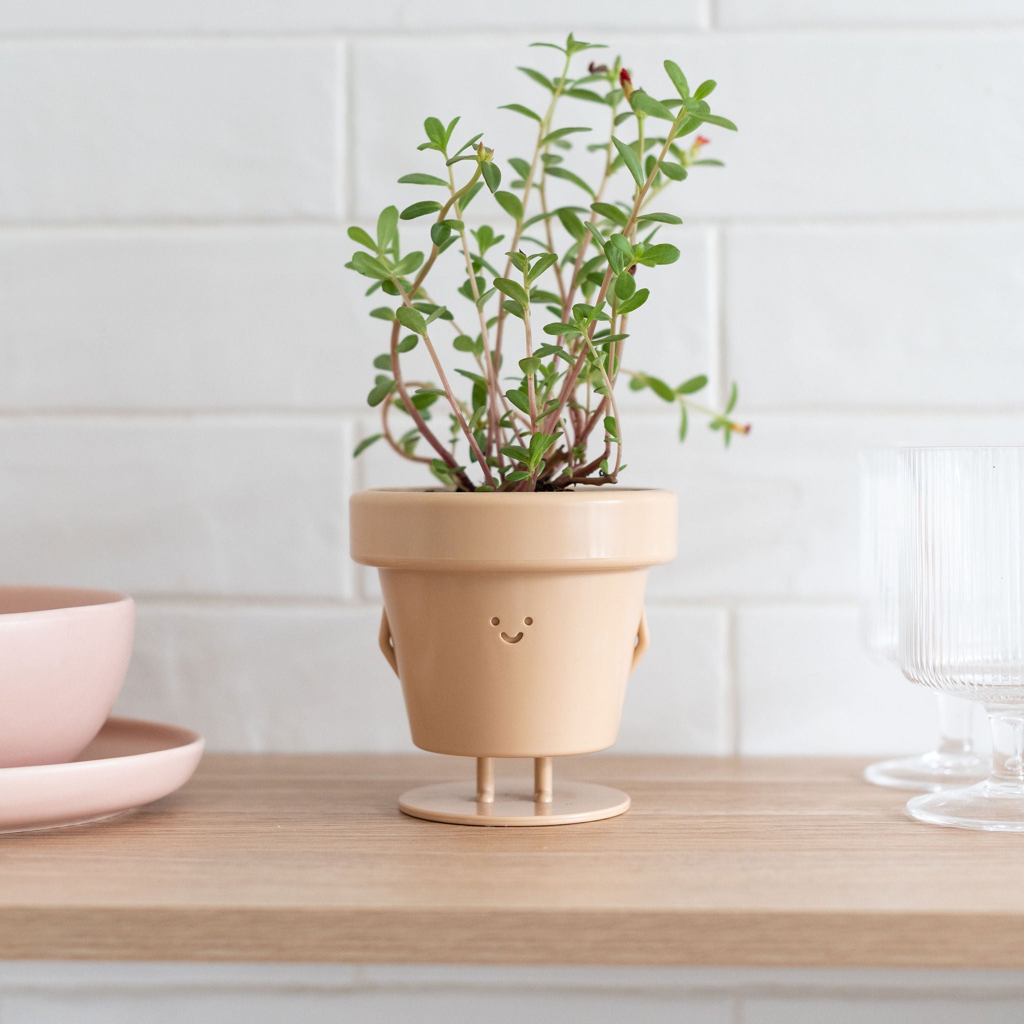 Original Earthlings - The Happiest Little Plant Pots On Earth ...