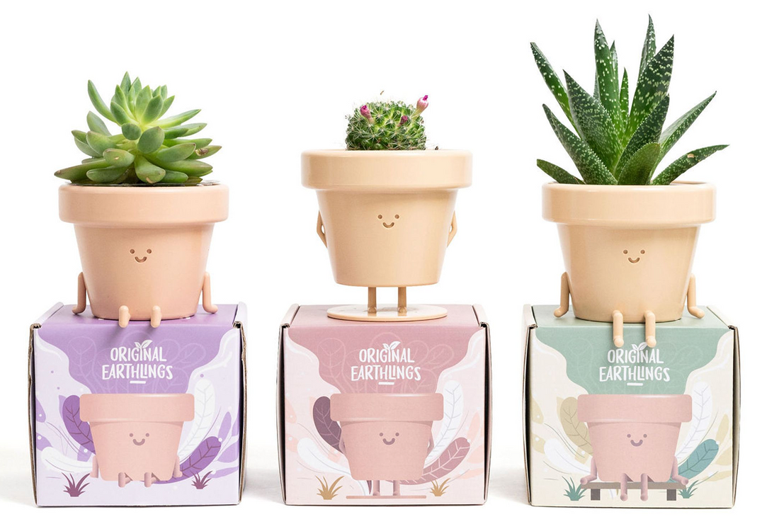 Original Earthlings - The Happiest Little Plant Pots On Earth ...