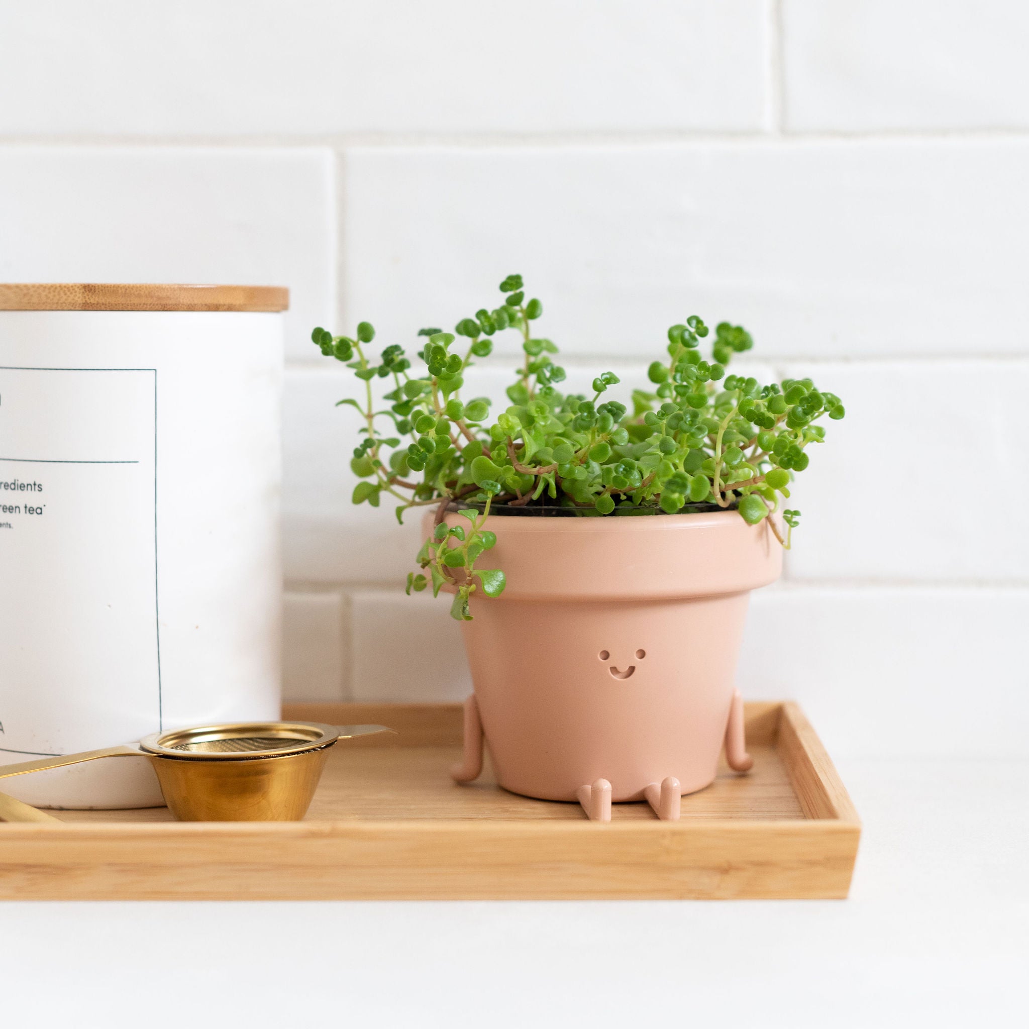 Nicky: Legs Out Plant Pot – originalearthlings